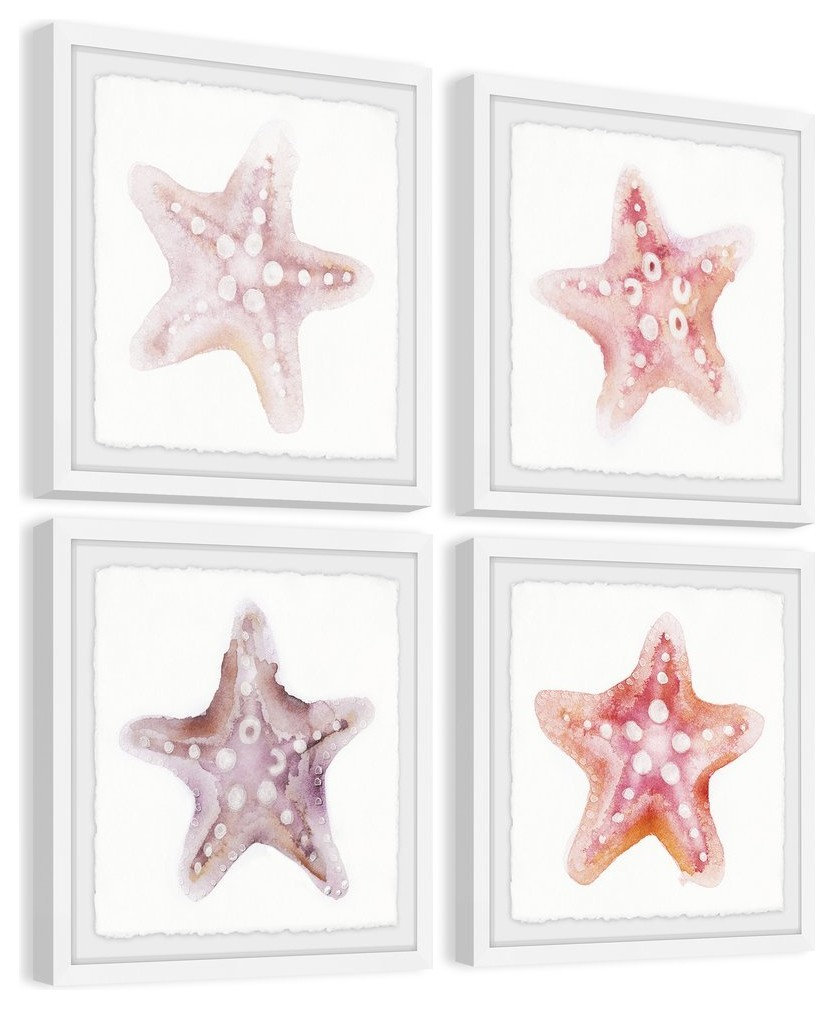 Starfish Gaze Quadriptych, 24"x24" - Beach Style - Prints And Posters ...