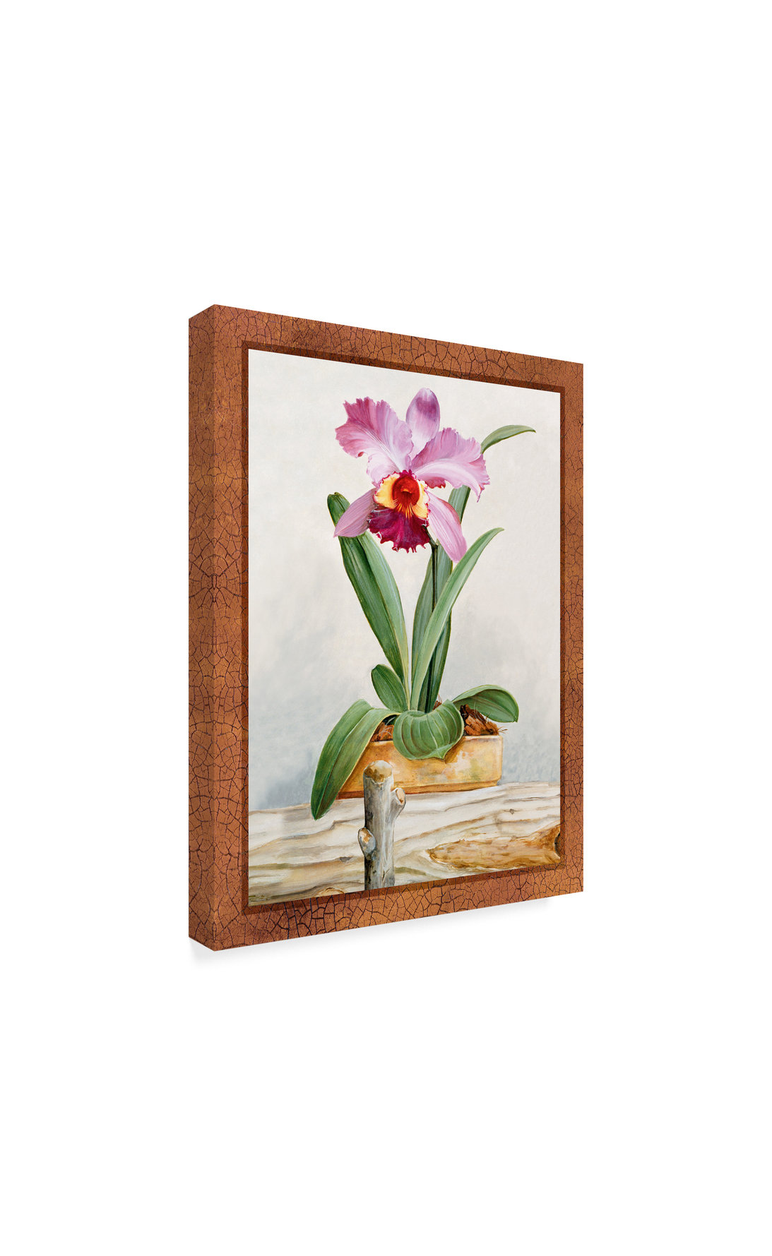 "Orchids 4" by Lisa Audit, Canvas Art, 47"x35" - Contemporary - Prints ...