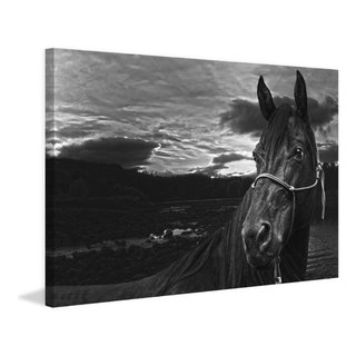 "Nightwatch" Print on Canvas by Maggie Dee, 24"x16" - Contemporary ...