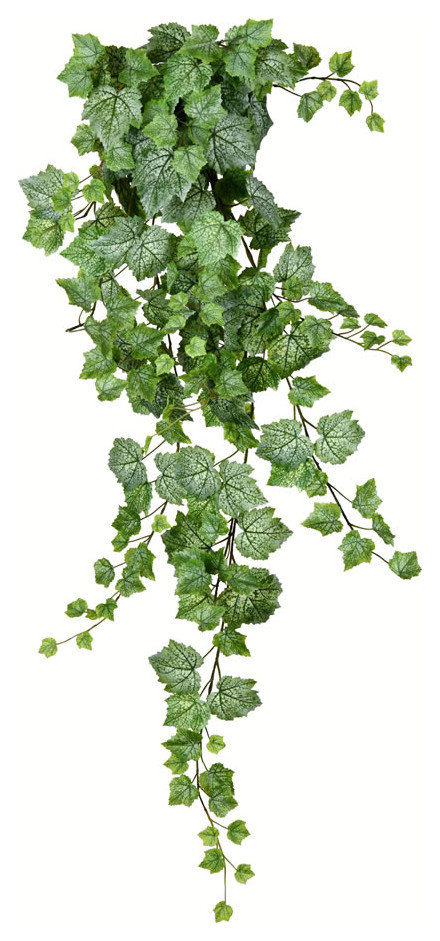 51" Green & White Grape Ivy Hanging Bush - Traditional - Artificial ...