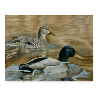 Rusty Frentner 'Mallard Study' Canvas Art, 19"x14" - Rustic - Prints ...