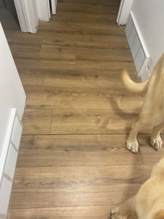 OptiMax Eco Resilient Flooring