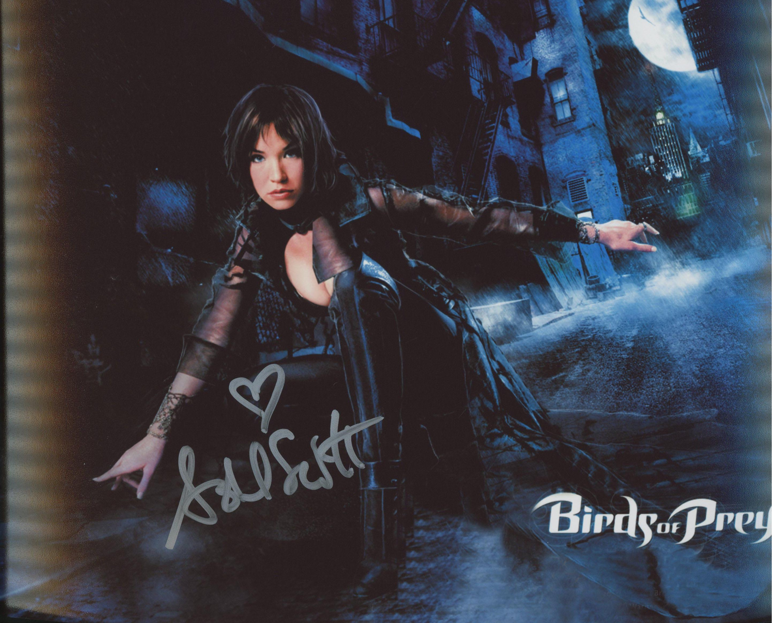Birds Of Prey Signed Photo, Custom Frame - Contemporary - Prints And ...