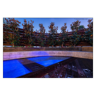 The Razor - Modern - Pool - Los Angeles - by Babcock Custom Pools ...