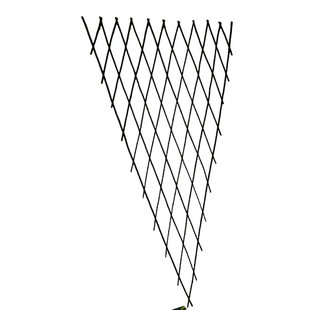 Willow Expandable Fan Trellis, Set of 2 pcs. 12"W x 60"H - Transitional ...