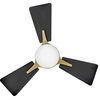 Regency Series Atom 30 in. Indoor Ceiling Fan, Heritage Brass ...