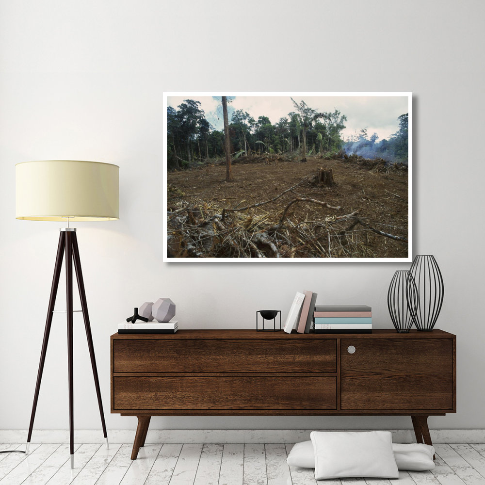 "Rainforest deforestation, French Guiana" Paper Print by Thomas Marent ...