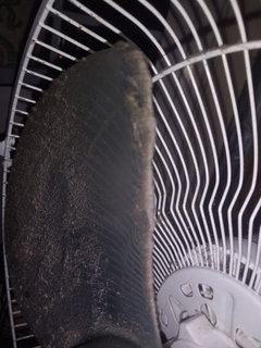 EXCESSIVE LINT/DUST COVERING HOME