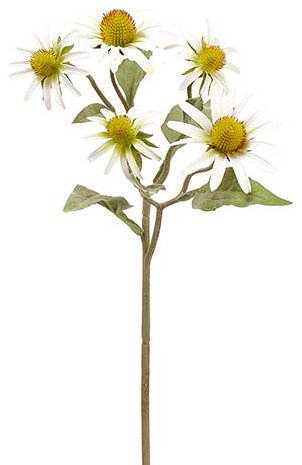 Rudbeckia Spray, White, Pack of 12 - Artificial Flower Arrangements ...