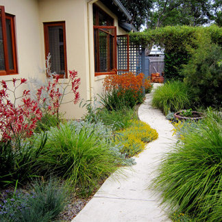 75 Beautiful Australian Native Garden Ideas & Designs - April 2026 ...