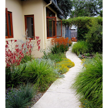 75 Beautiful Australian Native Garden Ideas & Designs - June 2024 ...