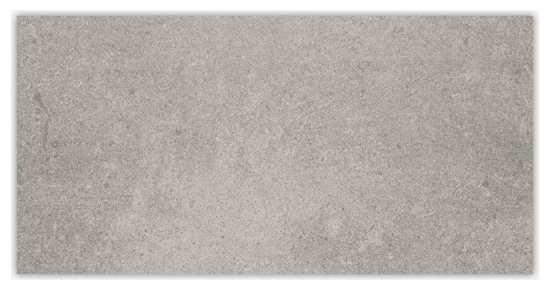 Ark Silver Polished 24x48 Porcelain Tile, 24X48 - Traditional - Wall ...