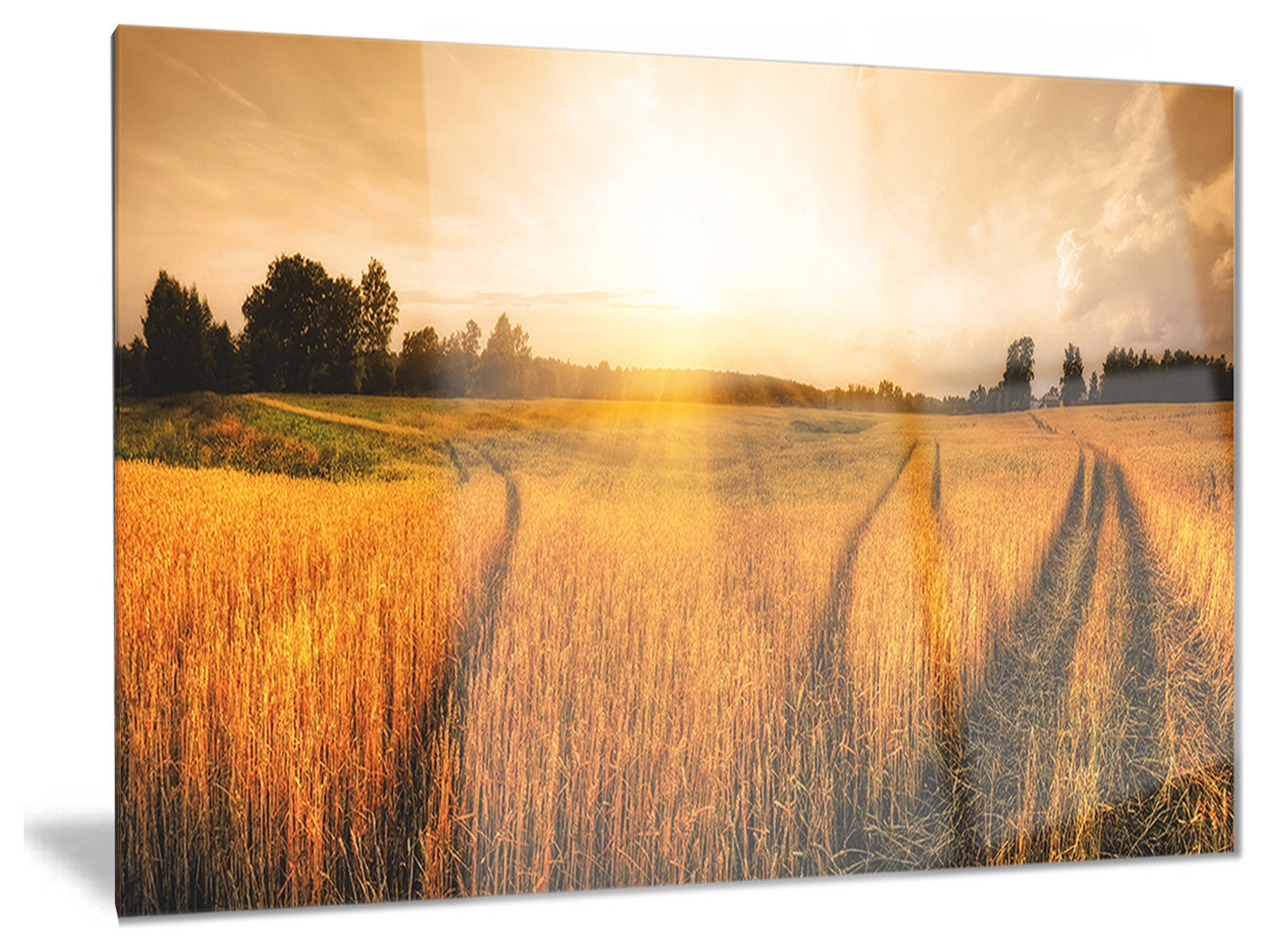 "Wheat Field at Sunset Panorama" Photo Glossy Metal Wall Art, 28"x12 ...