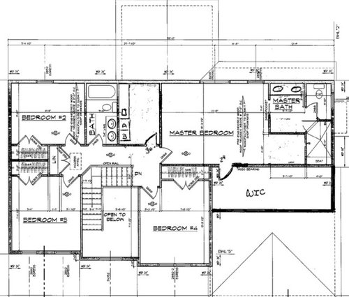 Back of house windows- where & what type to add?