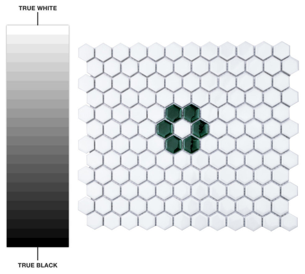 Metro Ion 1" Hex Sapphire Flower WithGlossy White Porcelain Floor and ...