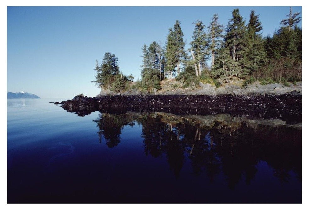 High Tide Mark Shows Oil Spilled By Exxon Valdez, Prince William Sound ...