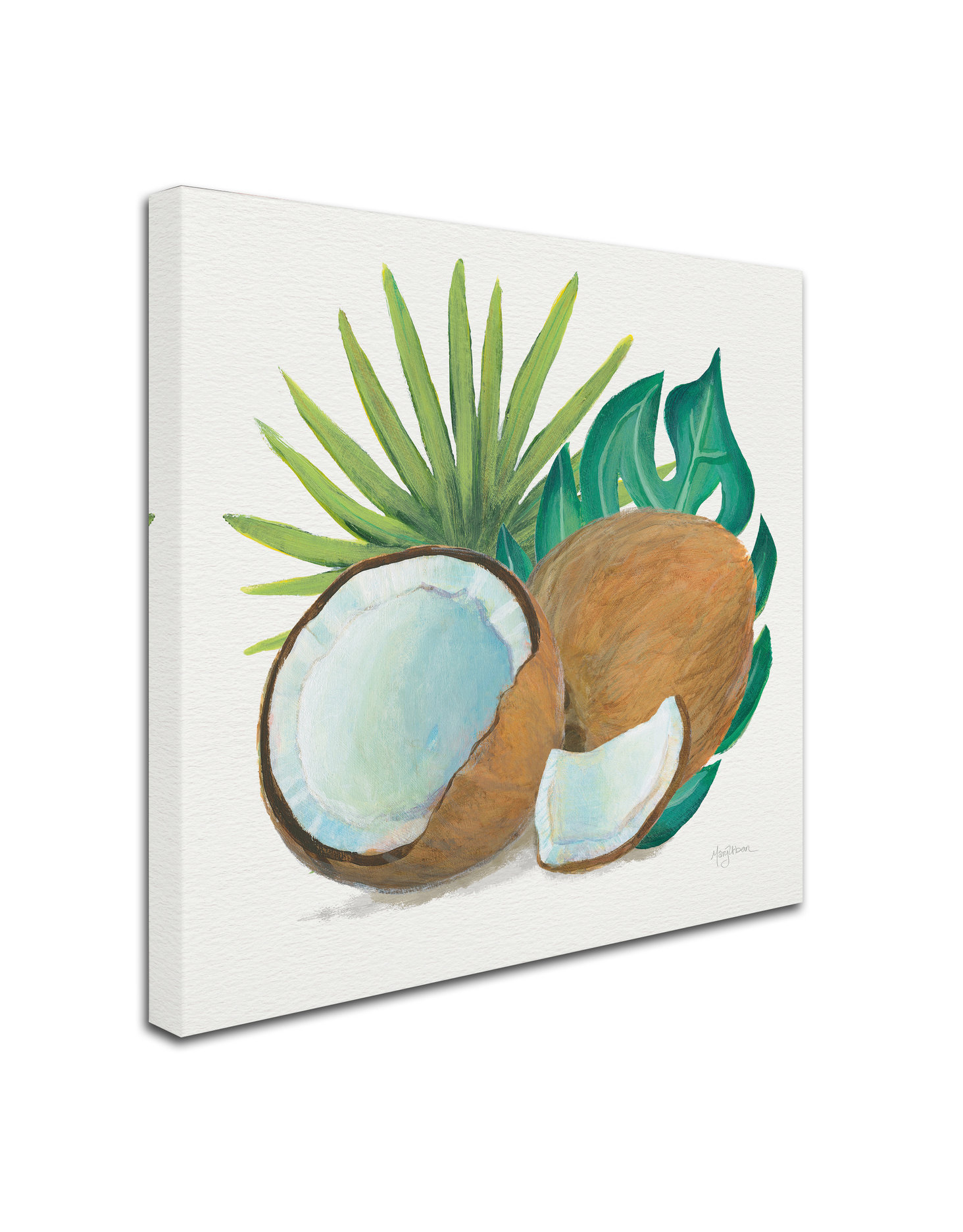 Mary Urban 'Coconut Palm V' Canvas Art, 14"x 14" - Tropical - Prints ...