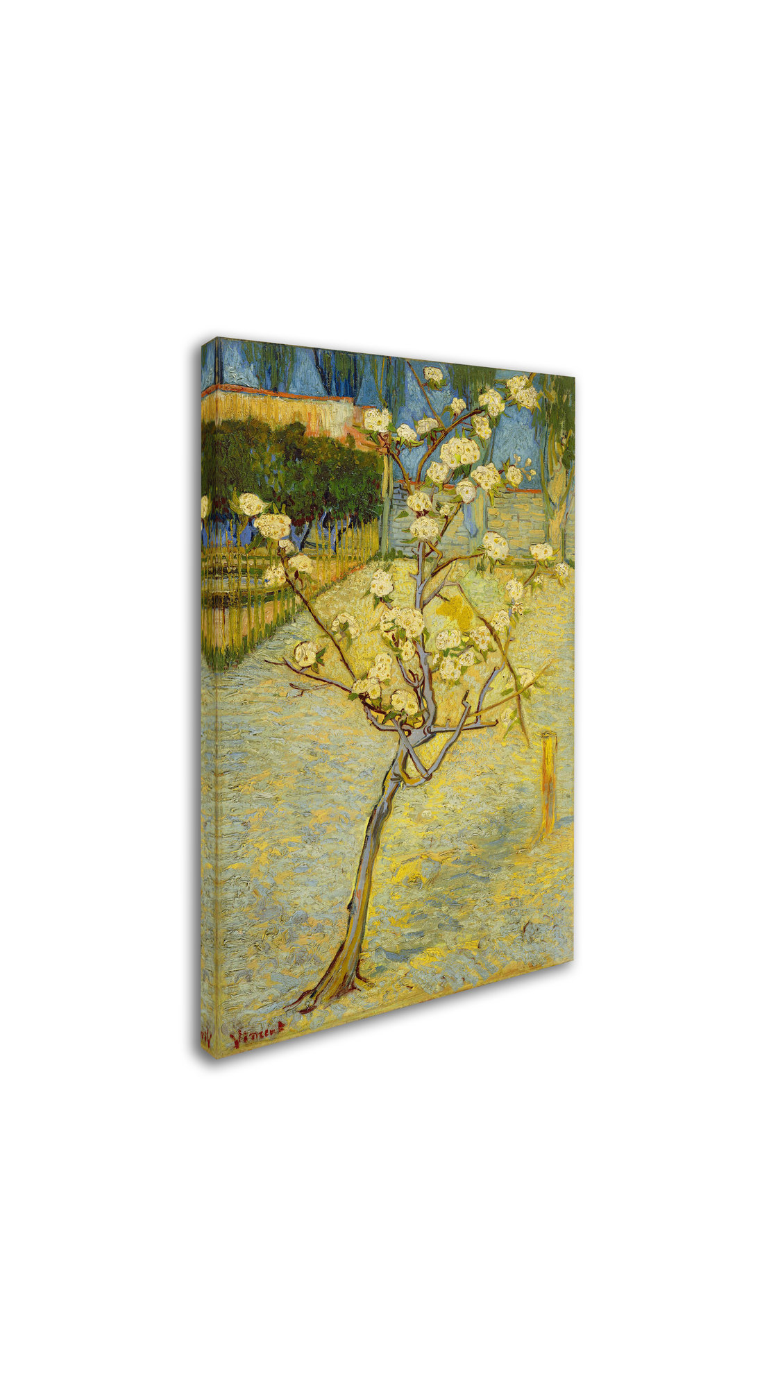 Van Gogh 'Small Pear Tree In Blossom' Canvas Art, 32"x22 ...