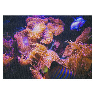 Sharp Colors 21 Area Rug, 5'0"x7'0" - Beach Style - Novelty Rugs - by ...