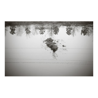 JAY'S POND, 24x36 - Contemporary - Prints And Posters - by Kuchi Kuu | Houzz