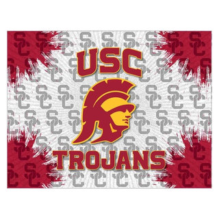 USC Trojans Logo Canvas, 32"x24" - Contemporary - Prints And Posters ...