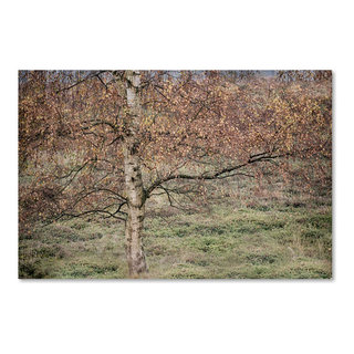 Cora Niele 'Birch' Canvas Art, 24 x 16 - Contemporary - Prints And ...