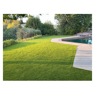 Artificial Turf Lafayette CA - Contemporary - Pool - San Francisco - by ...