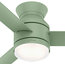Hunter 44" Dublin Ceiling Fan, Dusty Green With LED Light and Handheld ...