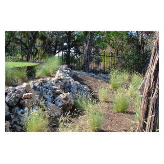 Jester's Crown - Contemporary - Landscape - Austin - by Native Edge ...