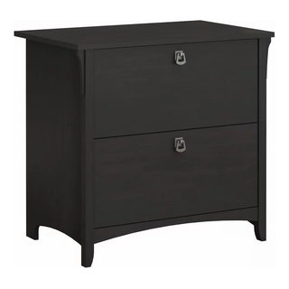 2 Drawer Lateral File Cabinet with Smooth Slides and Spacious File ...