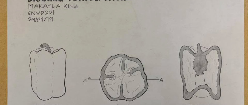 MAKAYLA KING - Project Photos & Reviews - Shawnee, KS US | Houzz