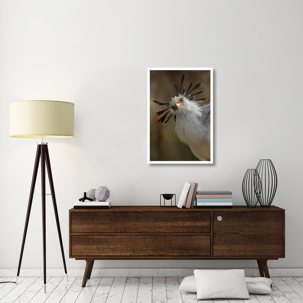 "Secretary Bird portrait, native to Africa" Print by San Diego Zoo, 14 ...