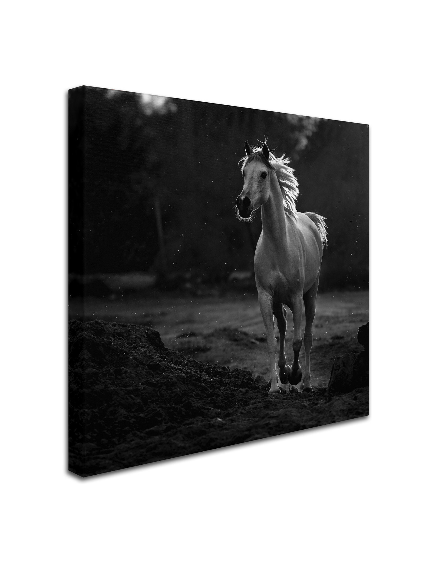 Abdullah Al-Saeed 'Coquetry' Canvas Art, 18"x 18" - Contemporary ...