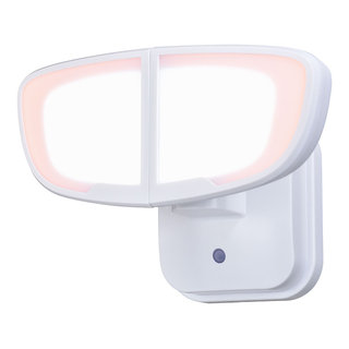 Omicron 2L LED Dusk-to-Dawn Security Light White - Transitional ...