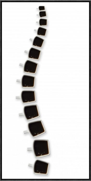 Backbone Of Coffee, 18"x36" - Contemporary - Prints And Posters - by ...
