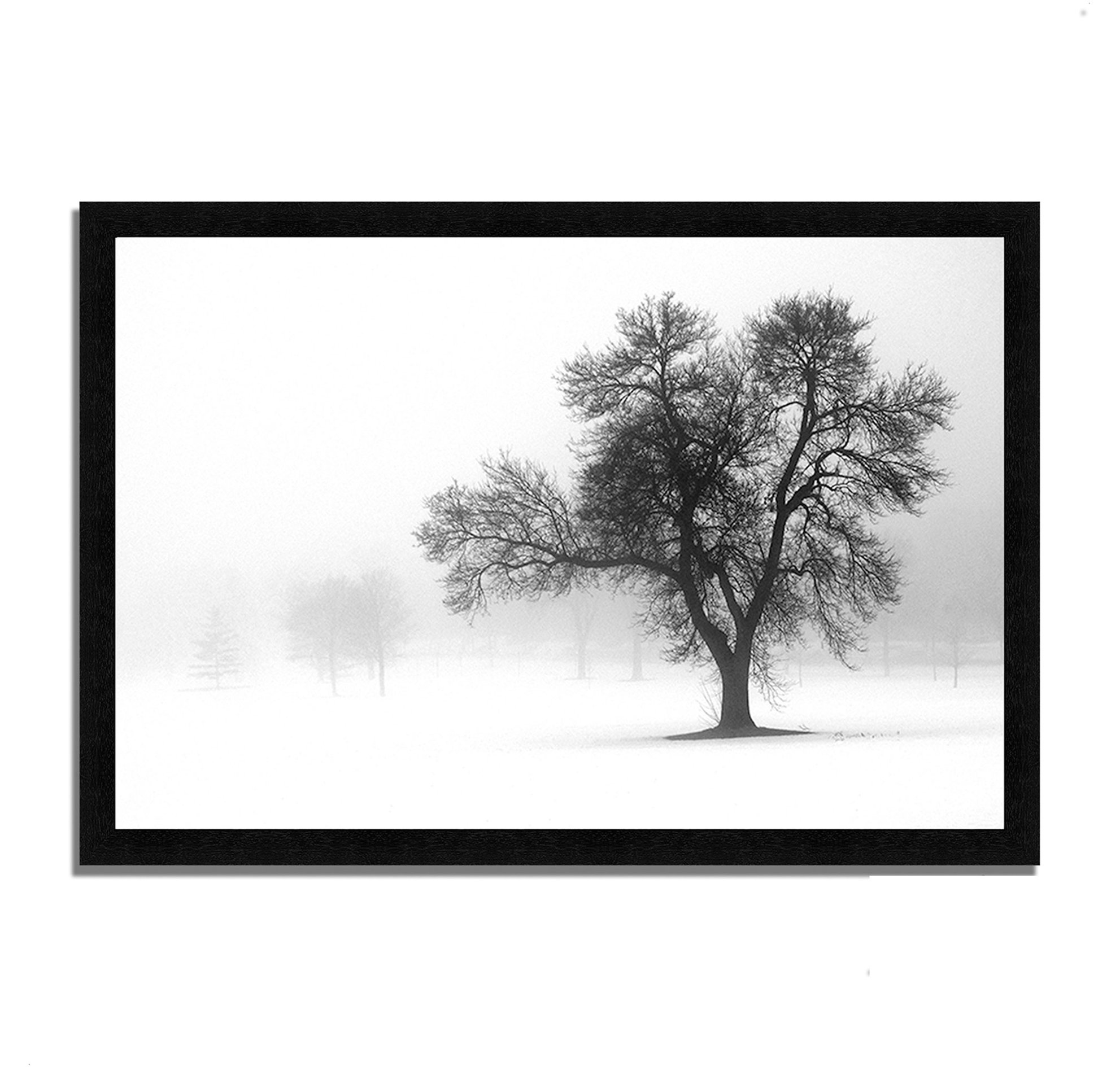 "Reaching Out", Framed Photograph Print, Ready To Hang - Contemporary ...