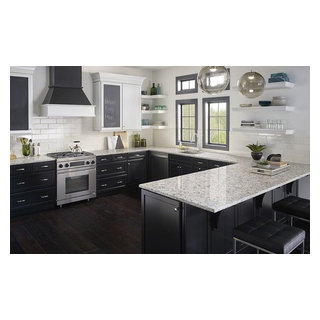 Pacific Salt Quartz - Kitchen - Orange County - by MSI | Houzz
