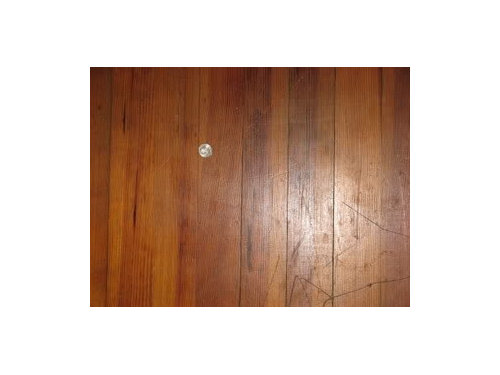 Identifying hardwood floor species