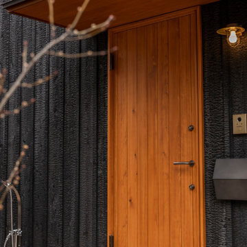 75 Wood Wall Entryway Ideas You'll Love - May, 2025 | Houzz