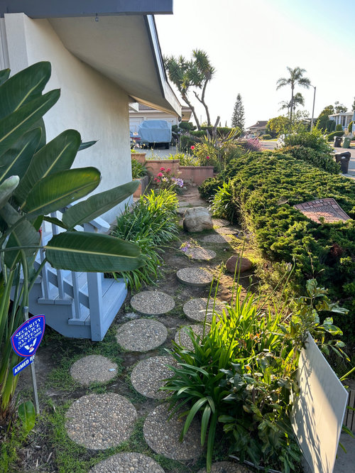 MCM House Landscaping