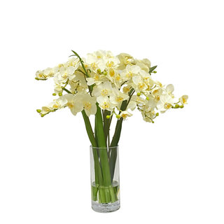 Phalaenopsis in Glass, 25" - Contemporary - Artificial Flower ...