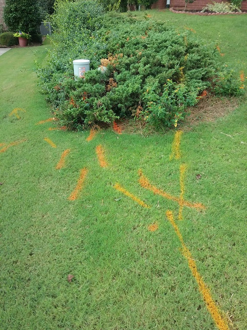 HELP!!! Ugly shrubs right over gas/cable lines.