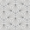 Aster Hex Encaustic Porcelain Floor and Wall Tile - Contemporary - Wall ...