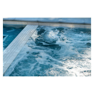 Lemont, IL Rectilinear Pool with Interior Hot Tub - Traditional - Pool ...