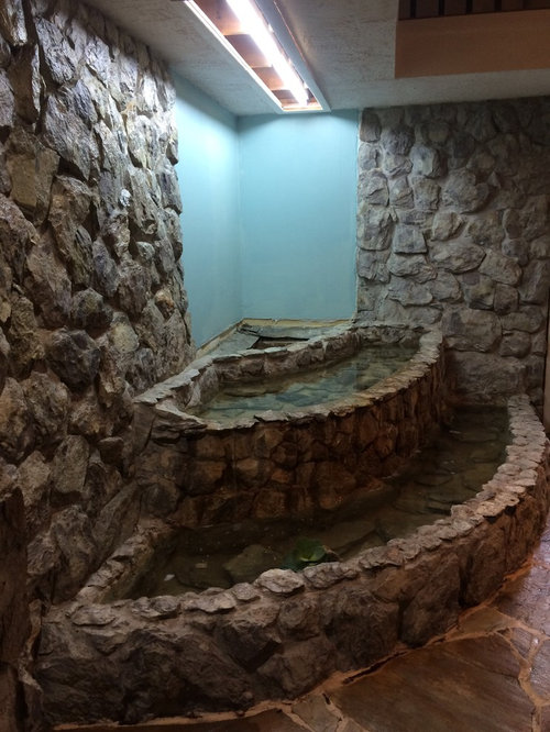 Help! Foyer Fountain!