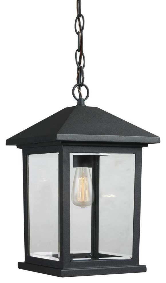 1 Light Outdoor Chain Light Black - Transitional - Outdoor Hanging ...