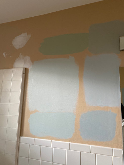 Bathroom Paint Color