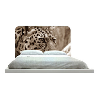 "Big Cat" Headboard, Queen - Contemporary - Headboards - by ZoZulu | Houzz