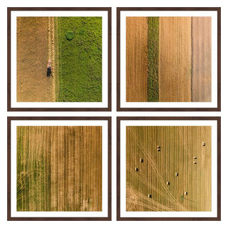 Farming Quadriptych, 24x24 - Contemporary - Prints And Posters - by ...