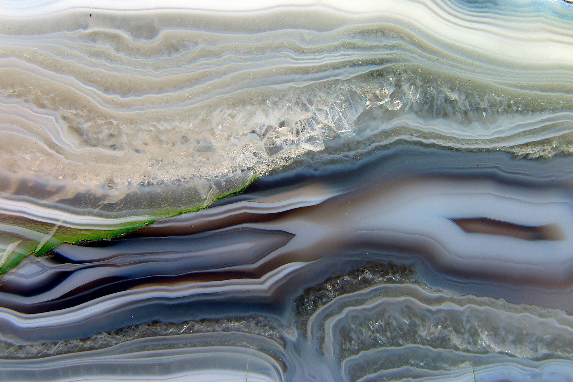 "Crustations" Painting Print on Canvas, 24"x16" - Contemporary - Prints ...